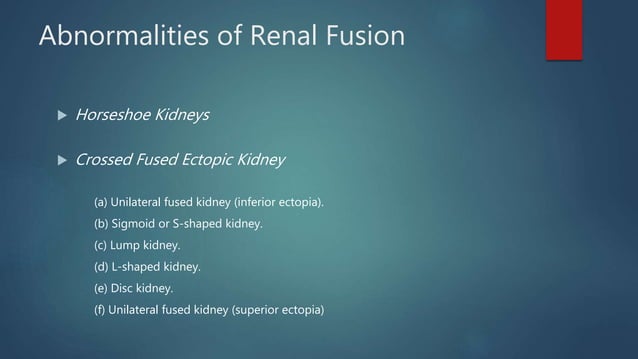 Congenital renal anomalies | PPTX