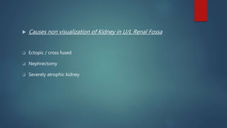 Causes Of Atrophic Kidney