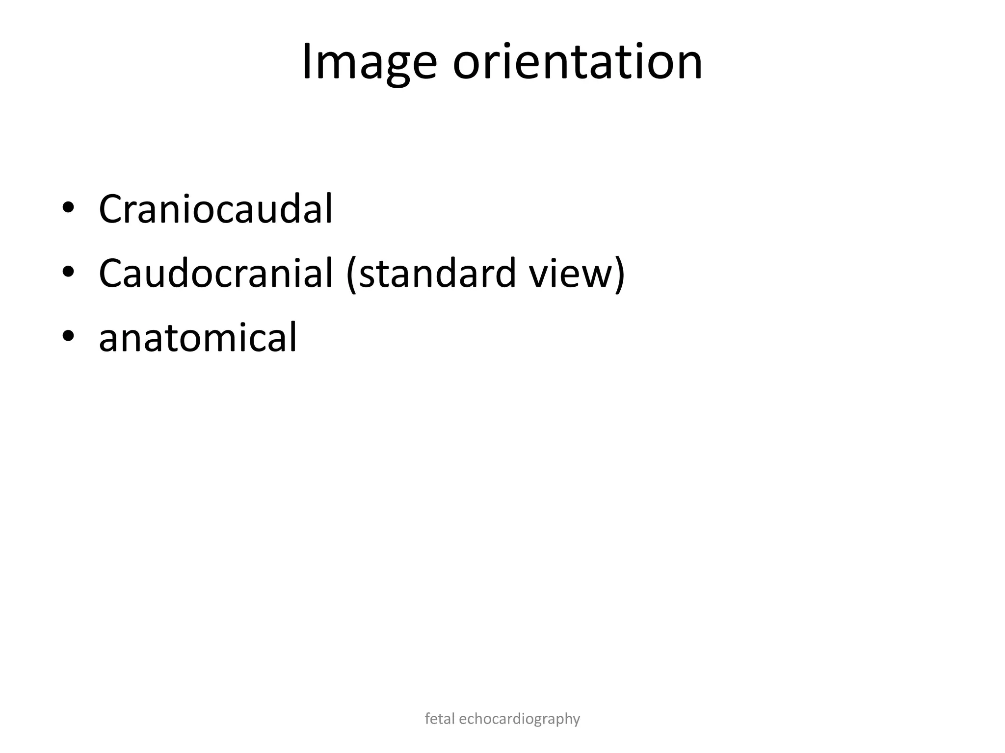 Fetal Echocardiography | PPTX