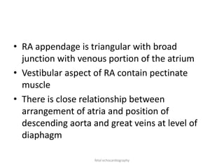 Fetal Echocardiography | PPTX