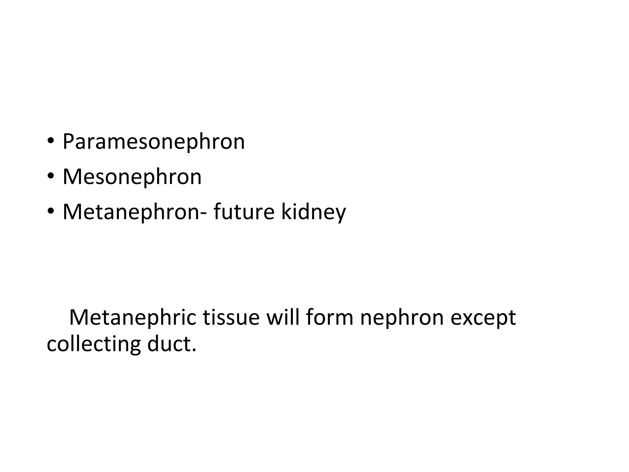 Congenital surgical diseases of urinary tract | PPTX