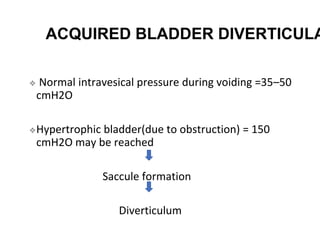 Congenital surgical diseases of urinary tract | PPTX