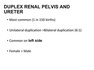 Congenital surgical diseases of urinary tract | PPT