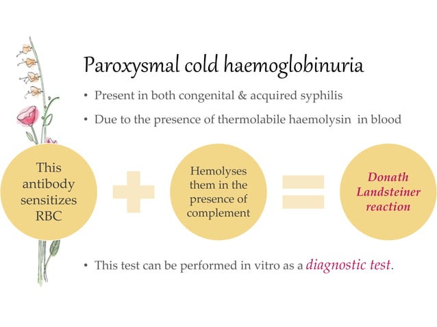 Congenital syphilis | PPT