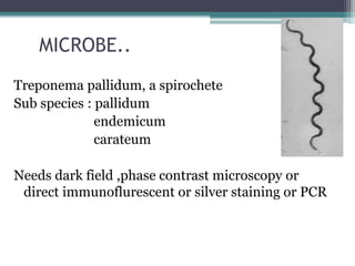 congenital syphilis.pptx