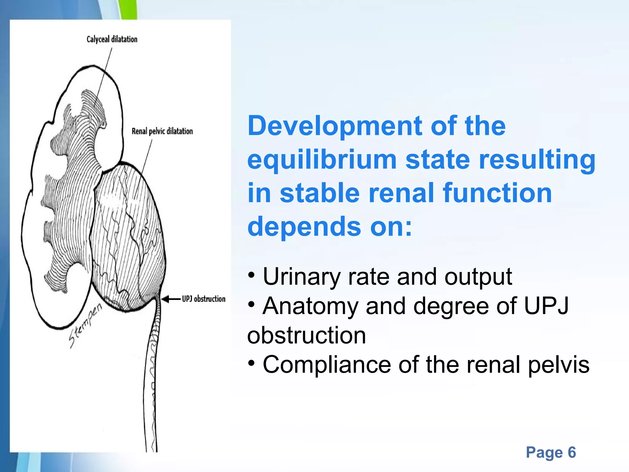 Congenital ureteropelvic (upj) obstruction | PPT
