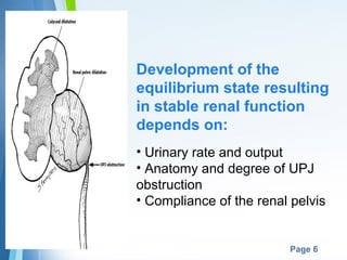 Congenital ureteropelvic (upj) obstruction | PPT