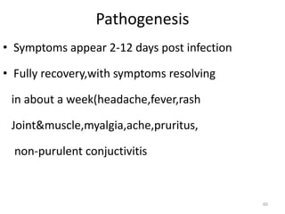 CONGENITAL VIRAL INFECTION 2021.pptx