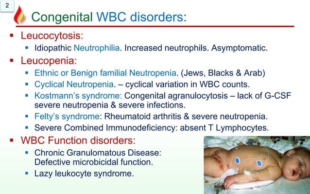 Congenital wbc disorders | PPTX | Blood Disorders | Diseases and Conditions