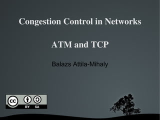 Congestion Control in Computer Networks - ATM and TCP | ODP