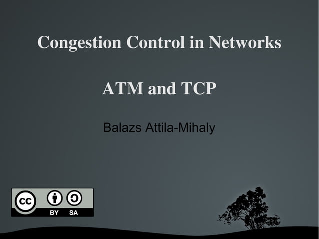 Congestion Control in Computer Networks - ATM and TCP | ODP
