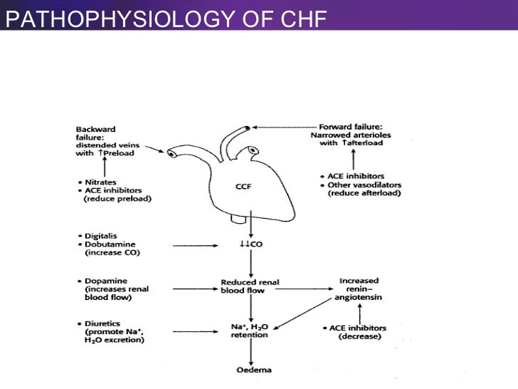 The Pathophysiology Of Hypertensive Acute Heart Failure Heart