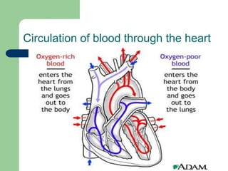 CONGESTIVE CARDIAC FAILURE -full CCF.ppt