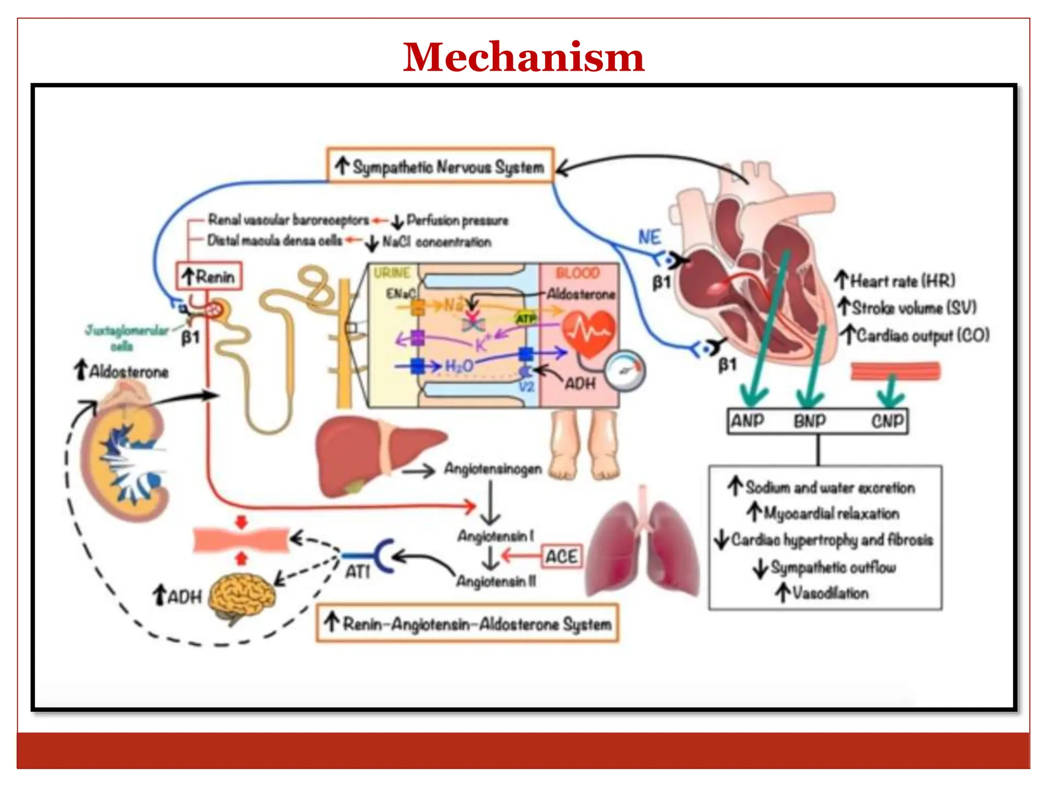 CONGESTIVE HEART FAILURE.pptx