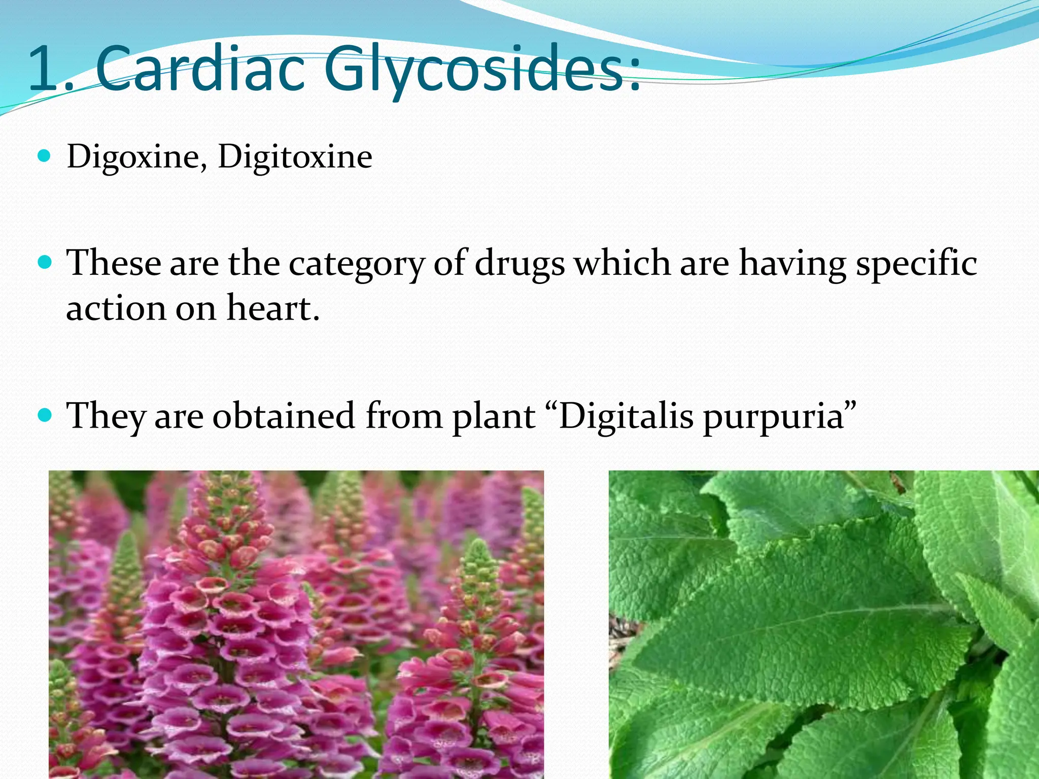 Congestive Heart Failure.pptx cardiac pharmacology | PPTX