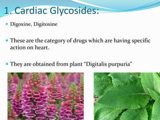 Congestive Heart Failure.pptx cardiac pharmacology | PPTX