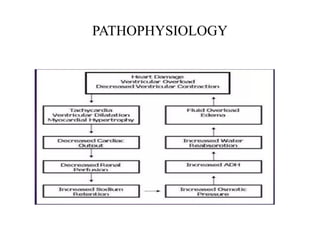 Congestive Heart Failure Pathophysiology | PPT