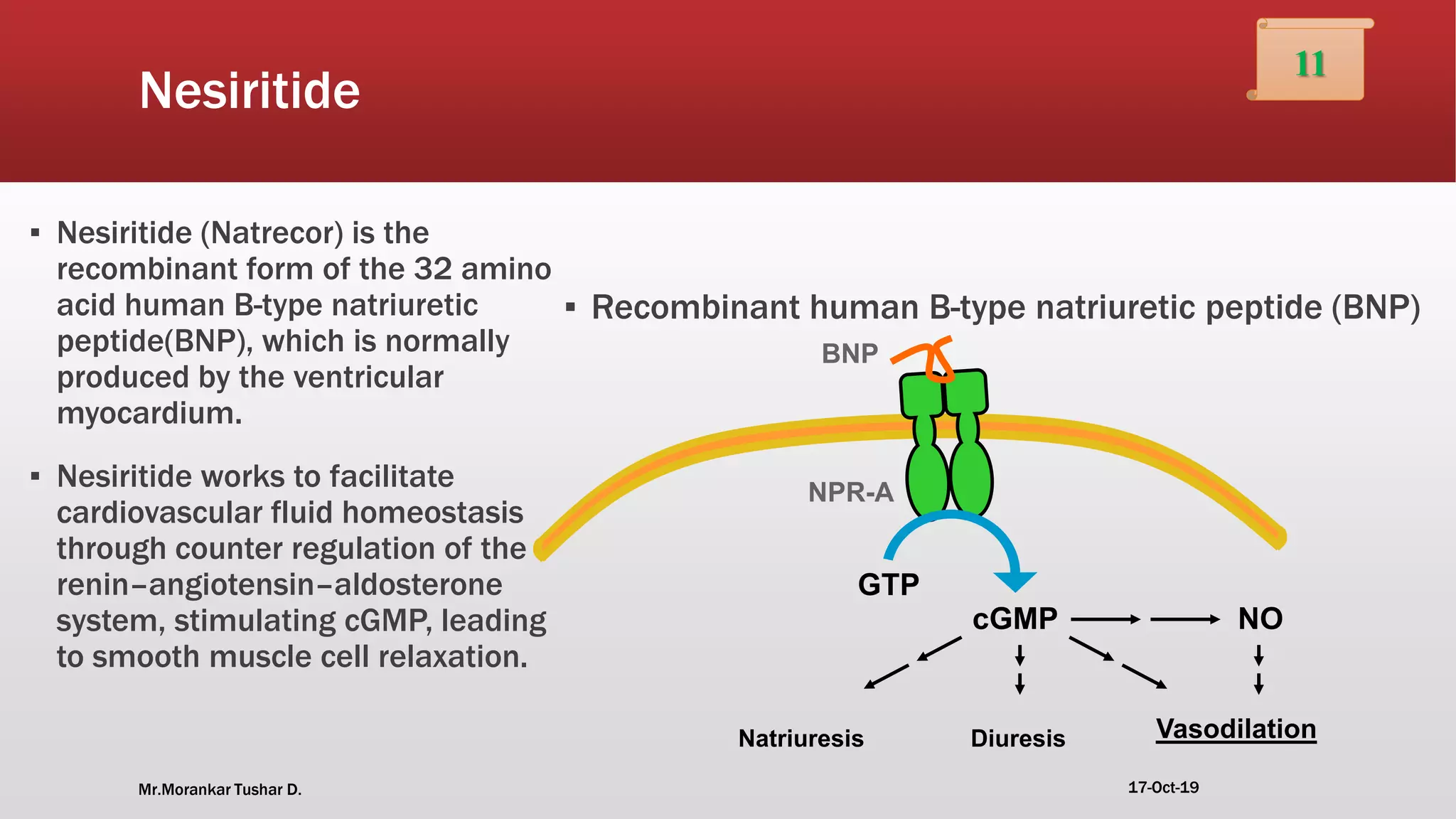 Congestive heart failure (chf) medicinal chemistry | PDF
