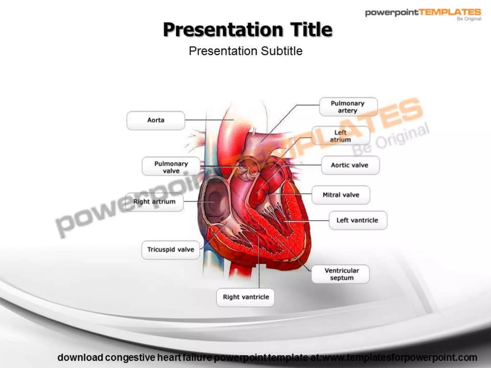 Congestive Heart Failure Powerpoint Template - templatesforpowerpoint | PPT