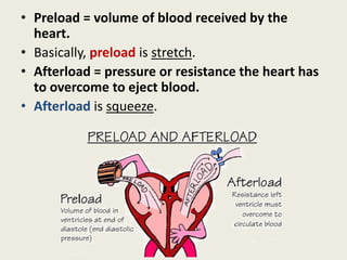 Congestive heart failure revised | PPTX