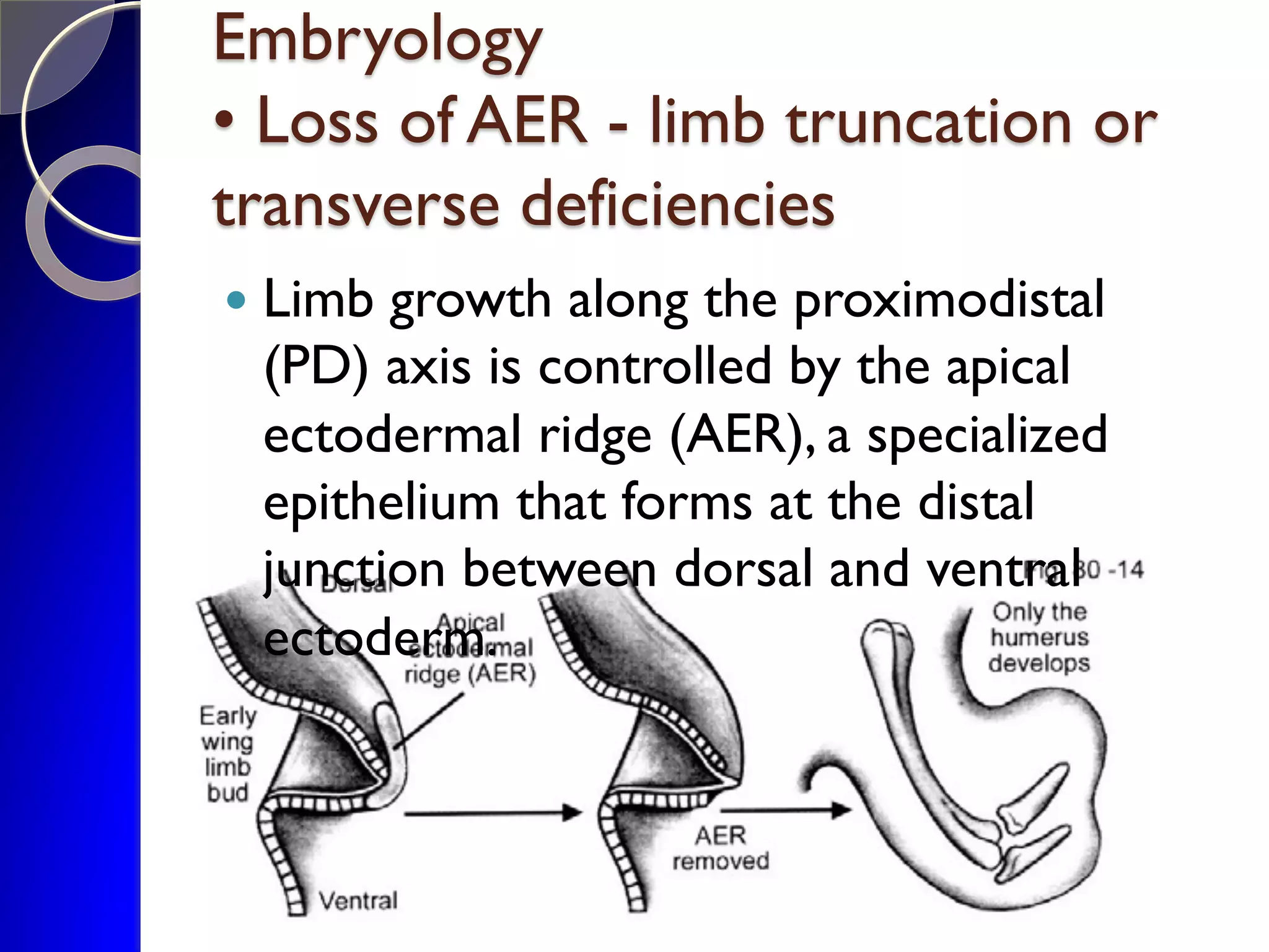 congforearmelbow2022andimbdef.pdf