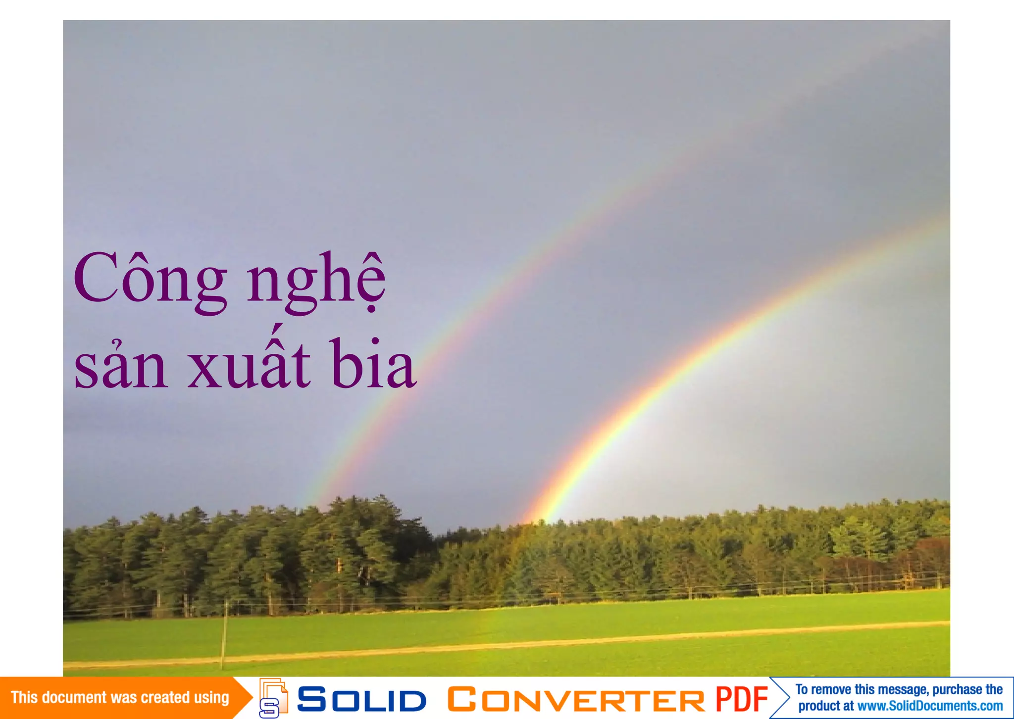Công nghệ lên men bia | PDF