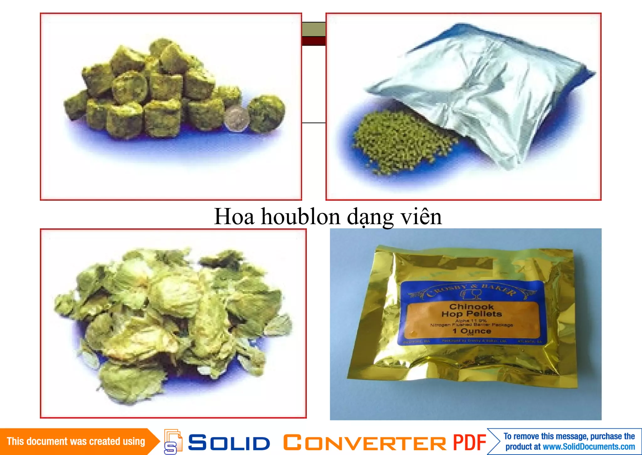 Công nghệ lên men bia | PDF