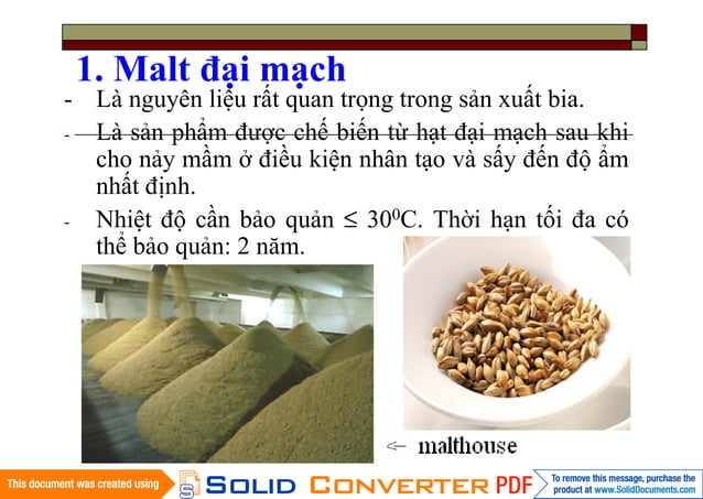 Công nghệ lên men bia | PDF