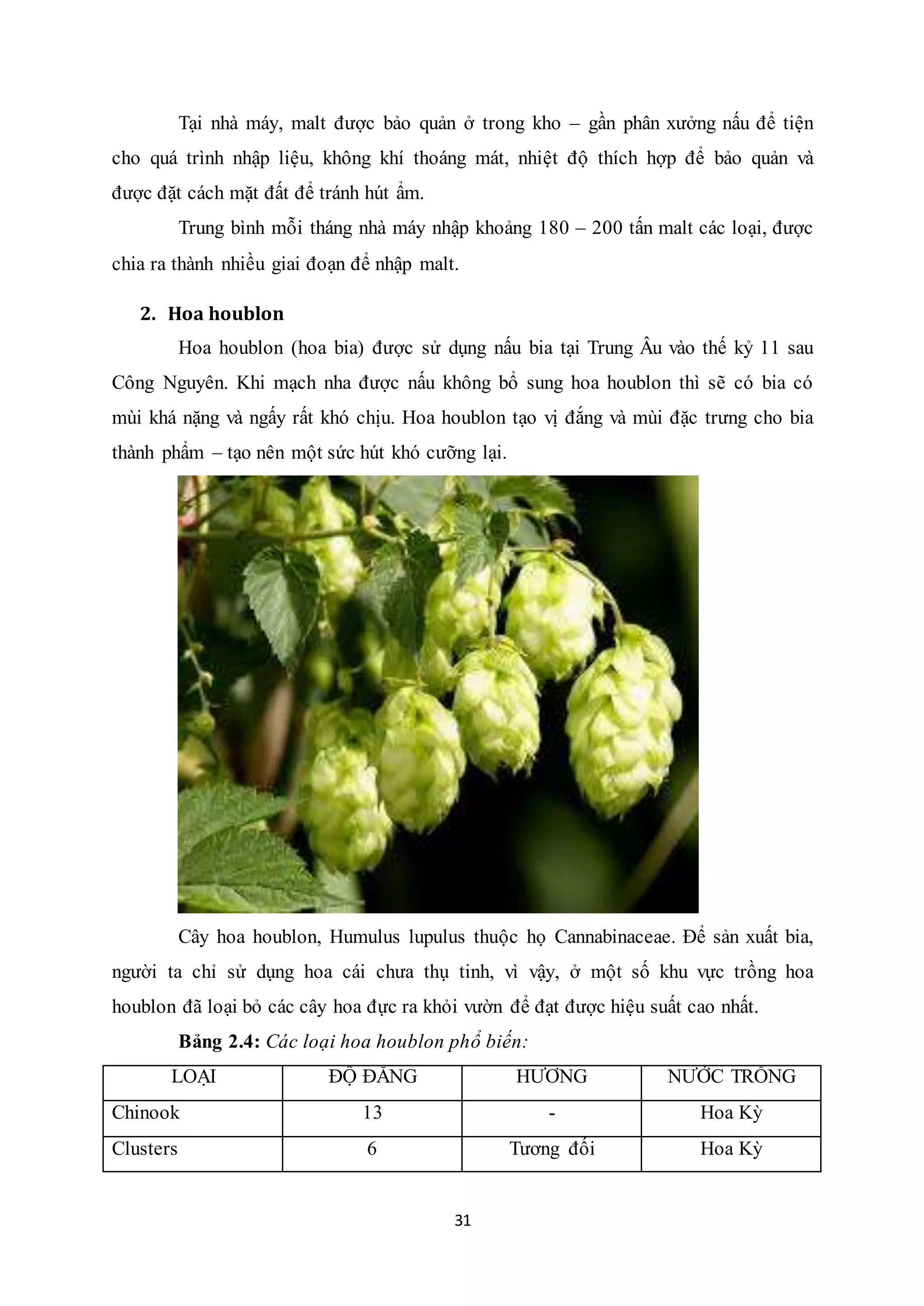 Công nghệ sản xuất bia, Quy trình sản xuất bia, HAY! | DOCX