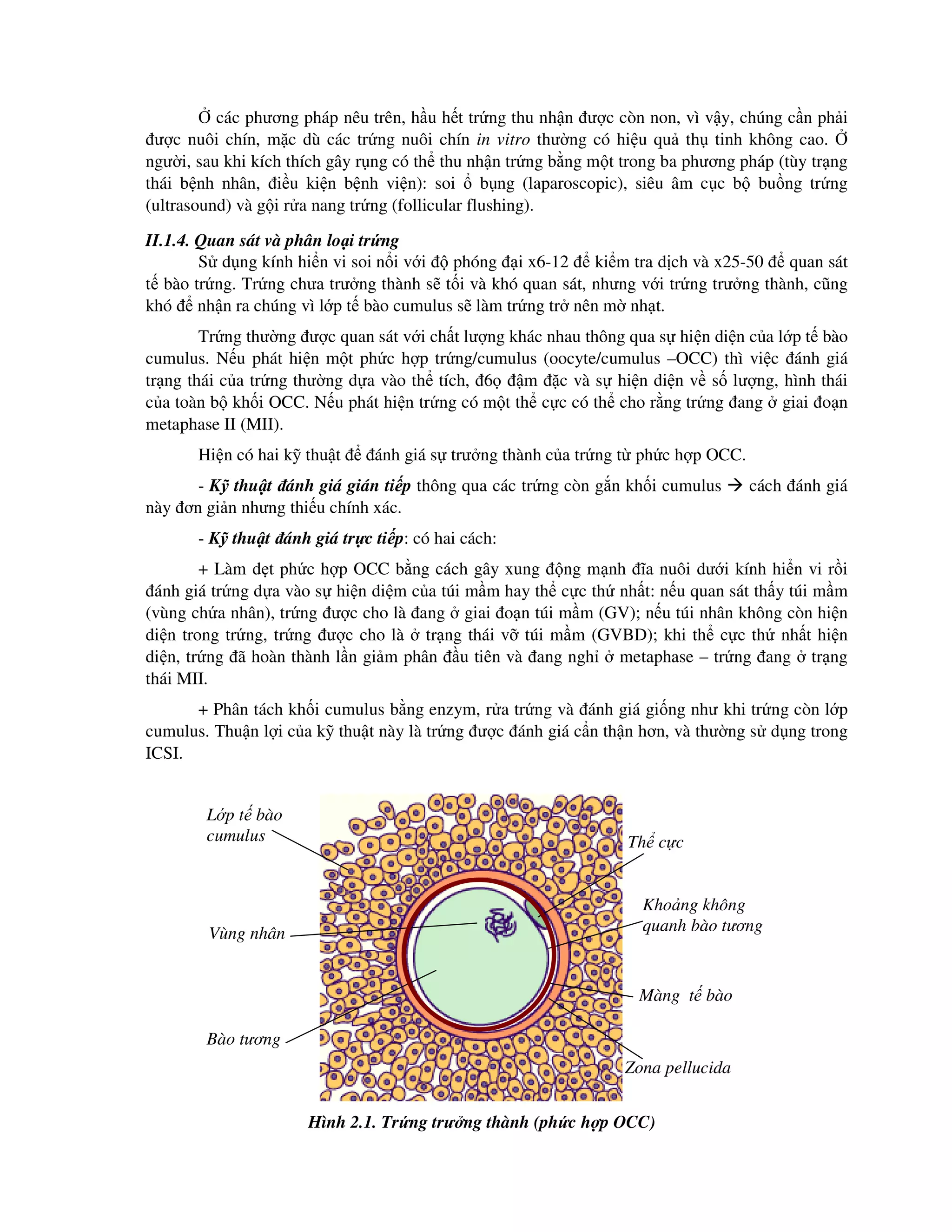 Giáo trình công nghệ sinh học động vật | PDF