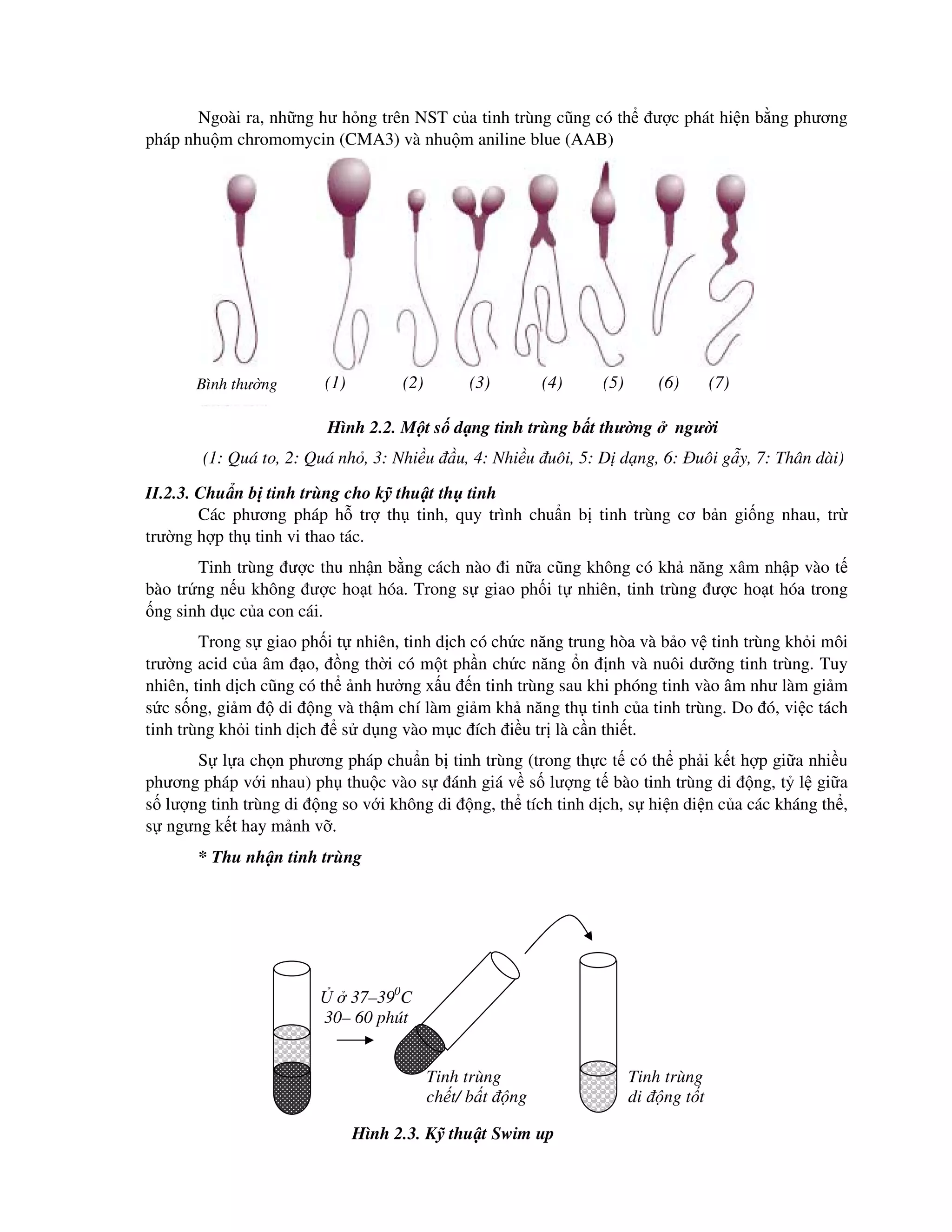 Giáo trình công nghệ sinh học động vật | PDF