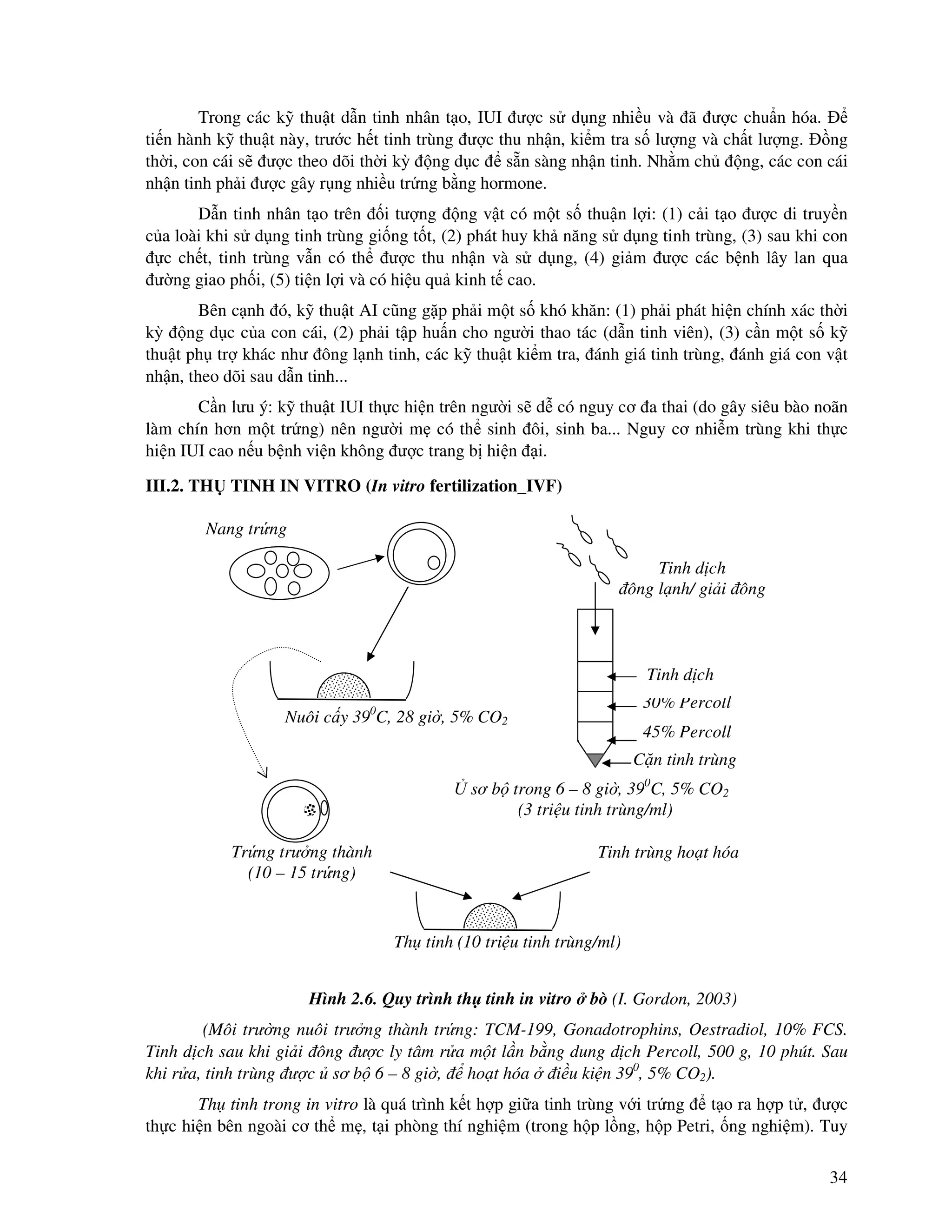Giáo trình công nghệ sinh học động vật | PDF