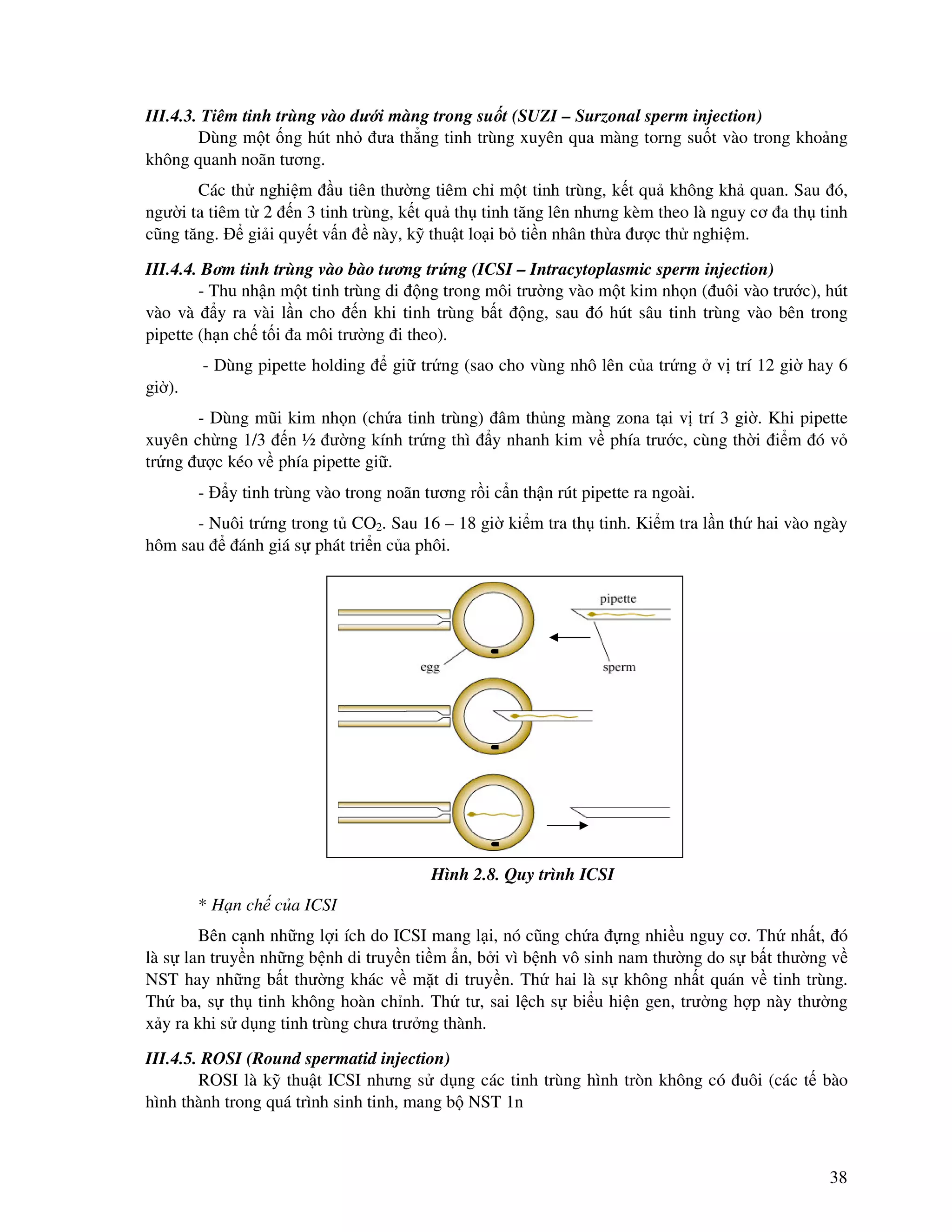 Giáo trình công nghệ sinh học động vật | PDF