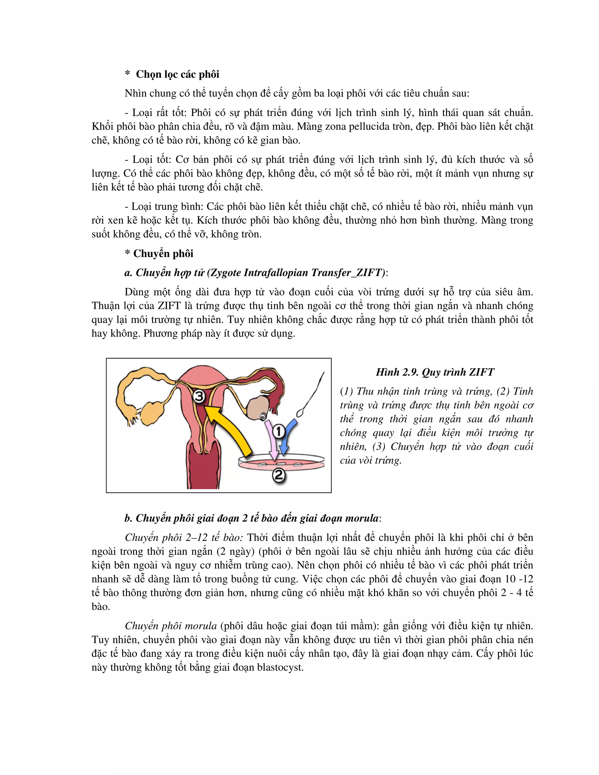 Giáo trình công nghệ sinh học động vật | PDF