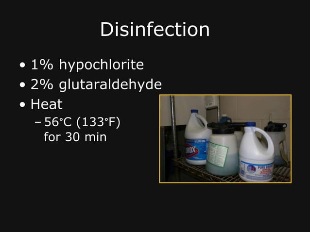 congo fever ppt shweta.pptx