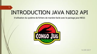 Congojug introduction java nio2 api