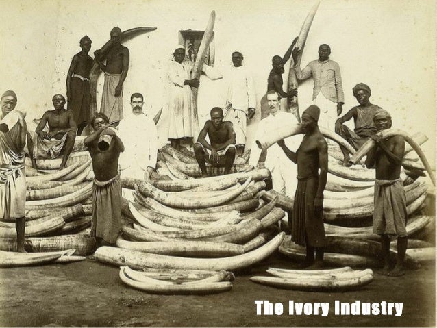 Belgian Congo and British in South Africa