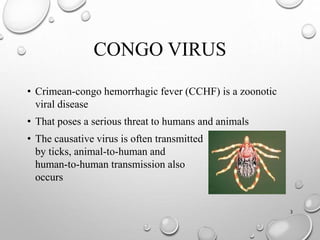 Congo virus | PPTX