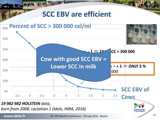 Genetics, a tool to prevent mastitis in dairy cows | PPT
