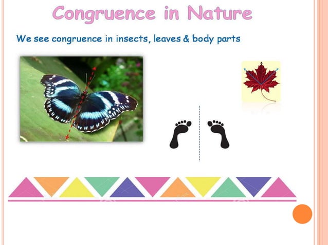 Congruent shapes in real life | PPTX | Physics | Science