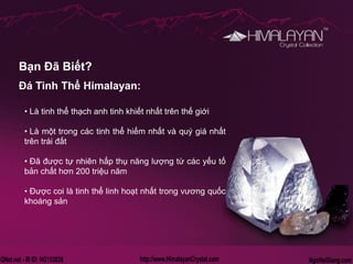 Cong ty q net viet nam san pham qnet- trang suc da hymalayan- ir id no ...