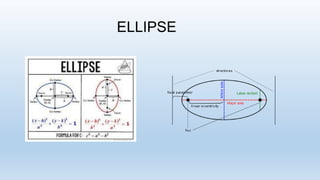 Conic sections | PPTX