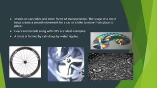 Conic sections in daily life | PDF