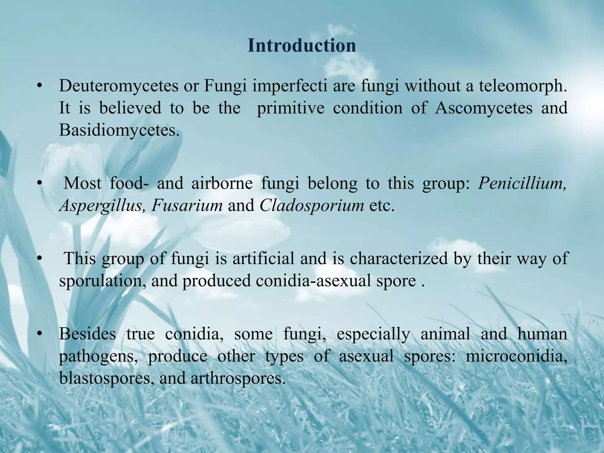 Conidial ontogeny | PPTX