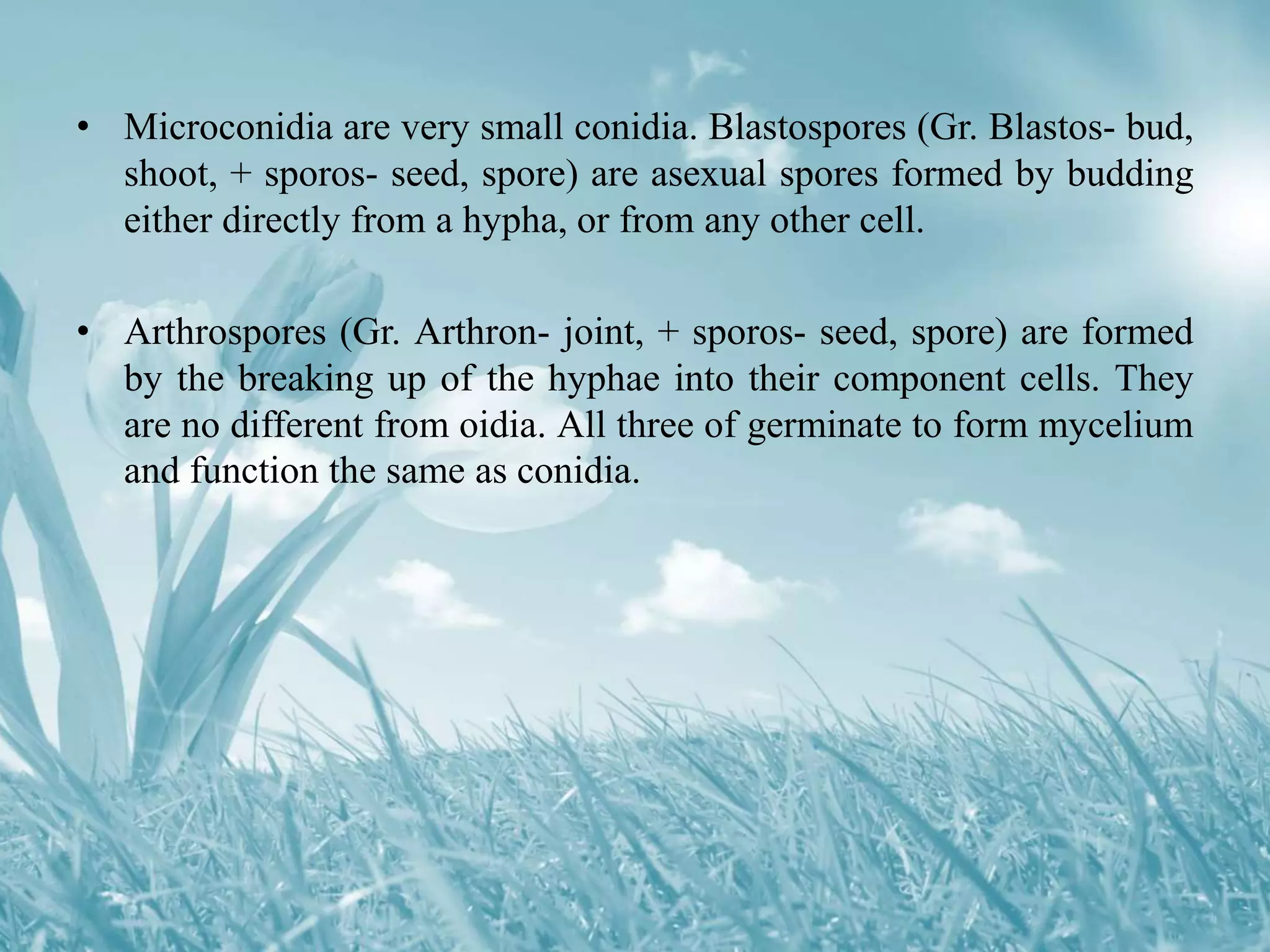 Conidial ontogeny | PPTX