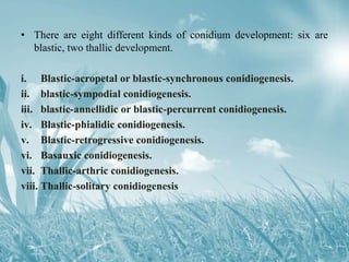 Conidial ontogeny | PPTX