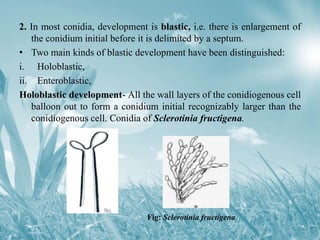 Conidial ontogeny | PPTX