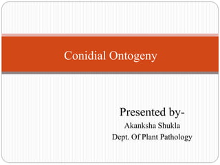 Conidial ontogeny akanksha | PPTX