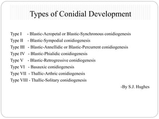 Conidial ontogeny akanksha | PPTX