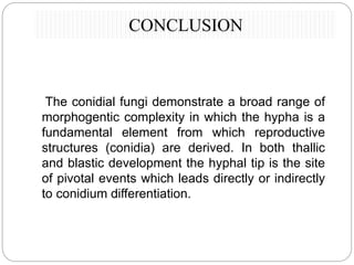Conidial ontogeny akanksha | PPTX